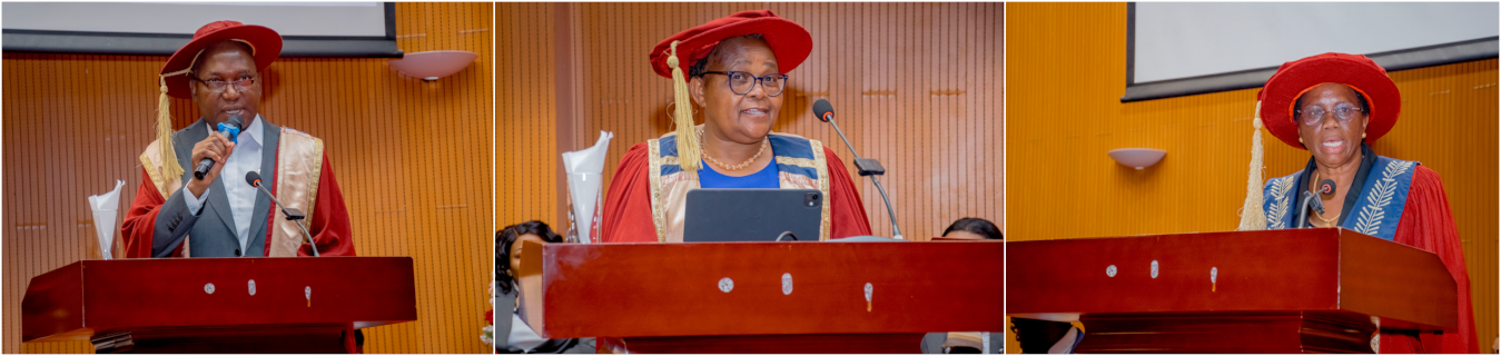 Mwanzo |BODI YA TAIFA YA WAHASIBU NA WAKAGUZI WA HESABU TANZANIA (NBAA)